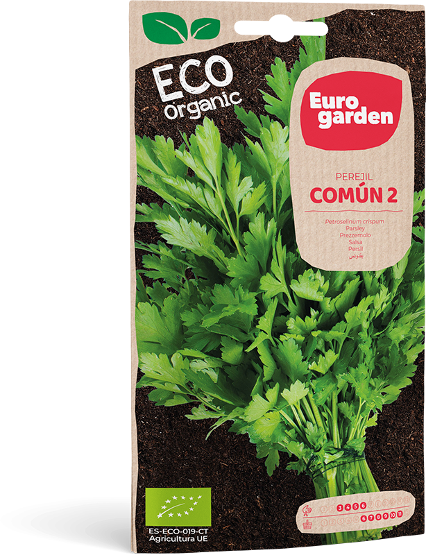 Semillas Perejil Común - Eurogarden