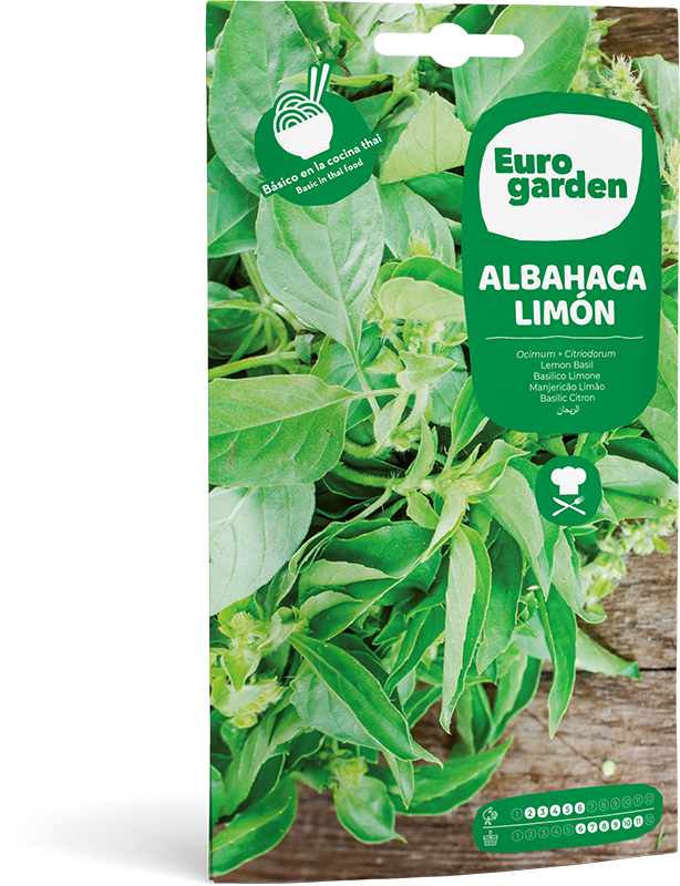 Albahaca Limón - Eurogarden