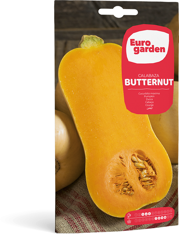 Calabaza Butternut - Eurogarden
