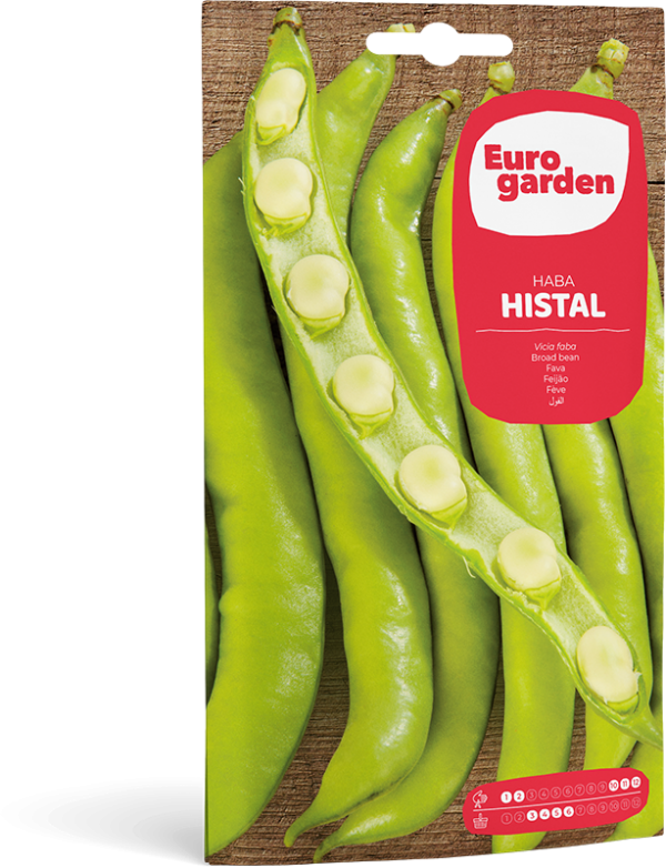 Haba Reina Mora - Eurogarden