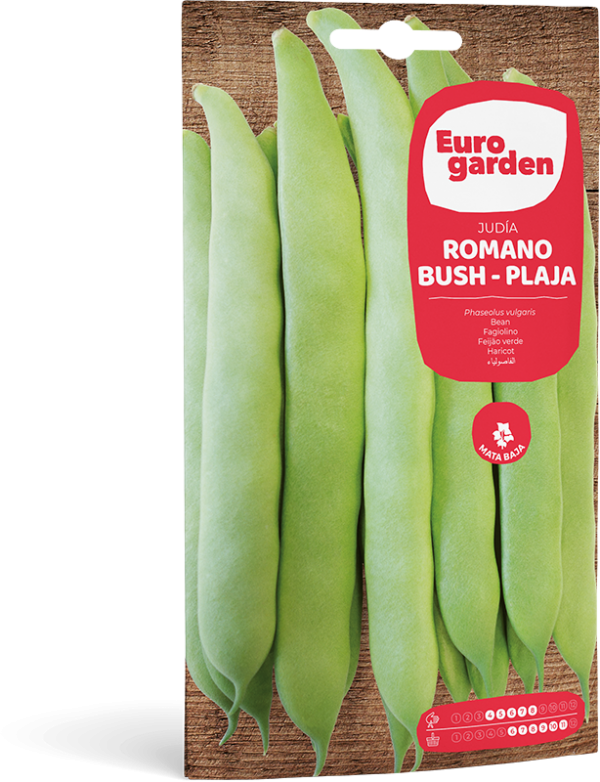 Haba Reina Mora - Eurogarden