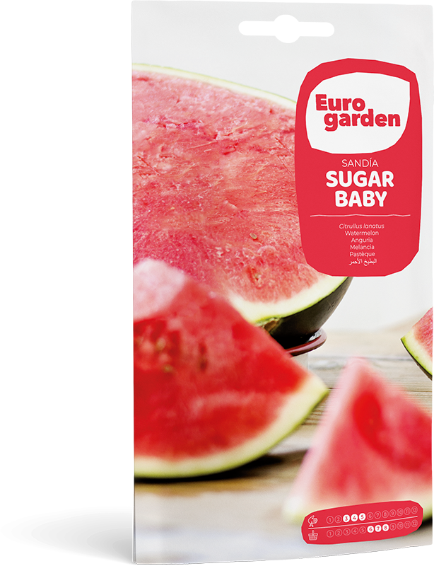 Sandía Sugar Baby - Eurogarden