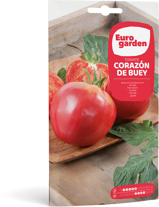 Tomate Corazón de Buey - Eurogarden