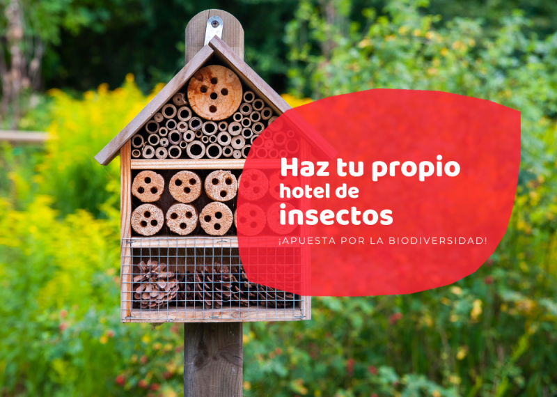 Cómo hacer tu propio hotel de insectos - Eurogarden