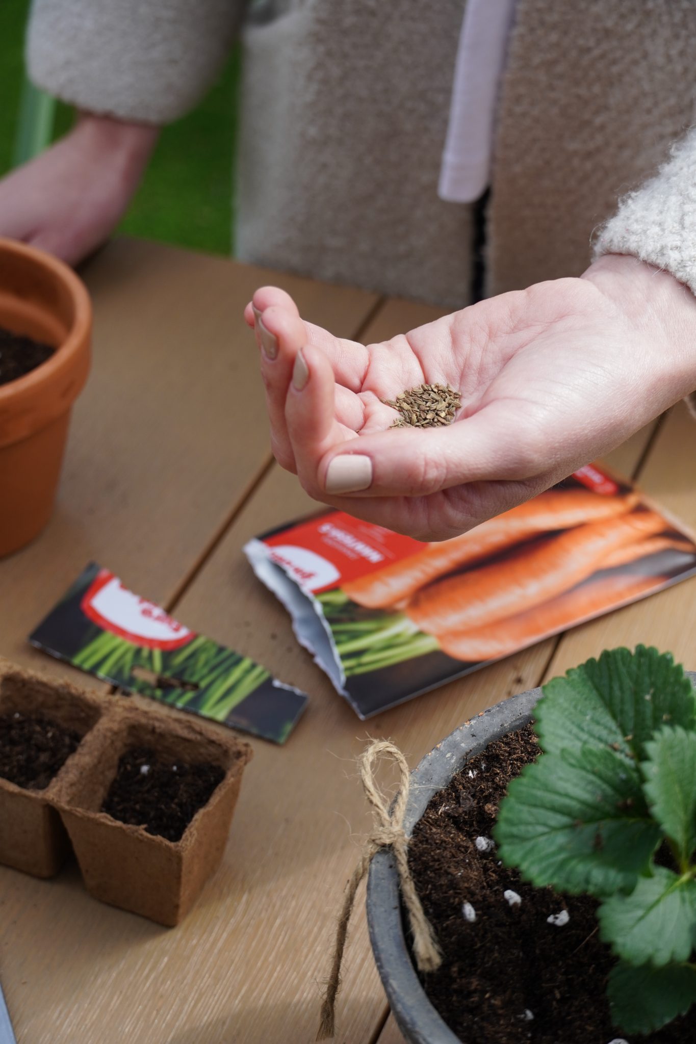 Guía completa sobre semillas: tipos, formatos y preparación - Eurogarden
